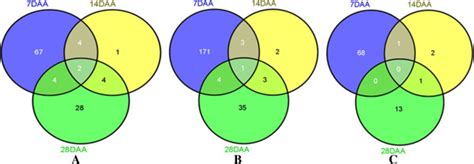 Venn Diagrams Showing The Number Of Probe Sets Identified In Three Seed