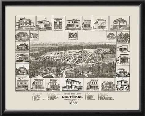 Montesano Washington 1889 Map Restored Birds Eye View