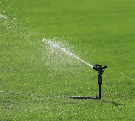 Water Irrigation System For Lawn Stock Image Image Of Sprinkle