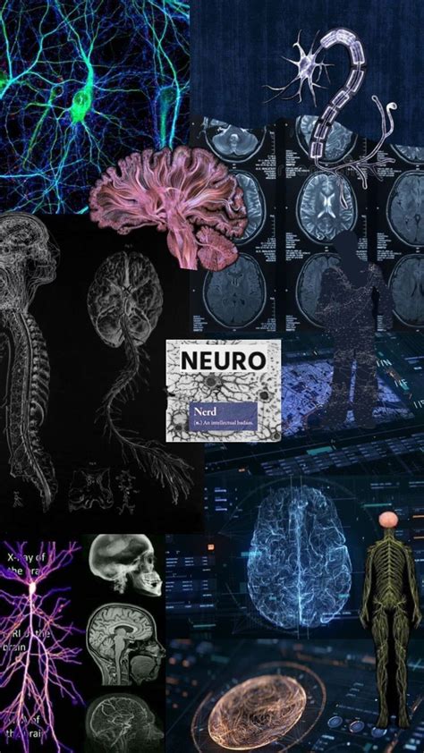 Neuropsychologist Job Description Artofit