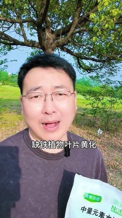 绿叶美中微量元素肥活动来袭，主要含镁铁锌三元素，增强叶面油亮，增加肥效镁肥铁肥锌肥厂家直发品质保证 Youtube