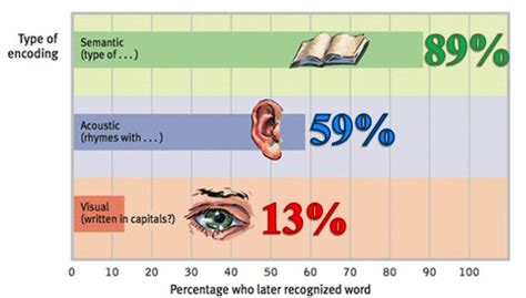 Examples Of Encoding In Psychology Plecp