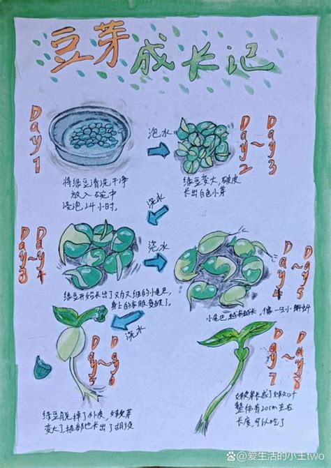 绿豆在水中的生长变化图片简笔画怎么画（共15张）简笔画图片大全