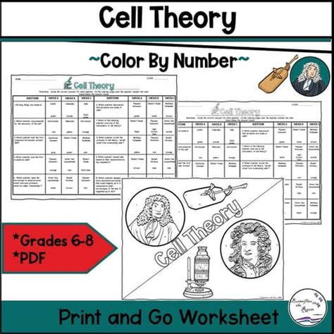 Cell Theory Color By Number Worksheet By Butterflies In The Room