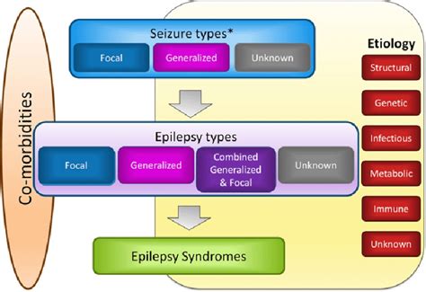 International League Against Epilepsy Ilae Epilepsy Classification