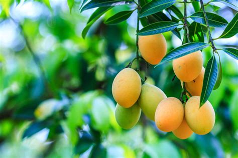 Arvind Smartspaces Apartments Villas And Plots For Sale