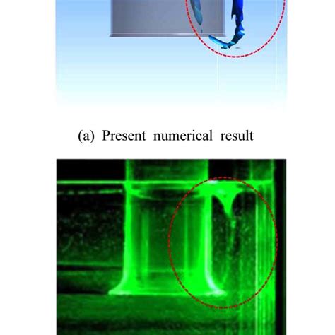 comparison between numerical analysis and experiment vortex behavior