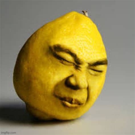 Lemon Face Memes Sour Lemon Face Photographic Print For Sale By