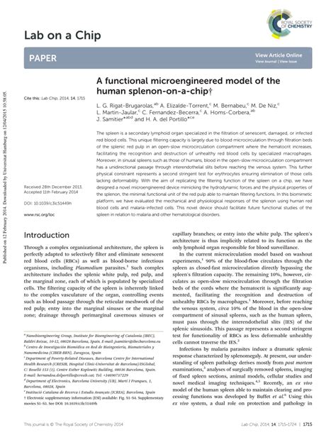 Pdf Functional Microengineered Model Of The Human Splenon On A Chip