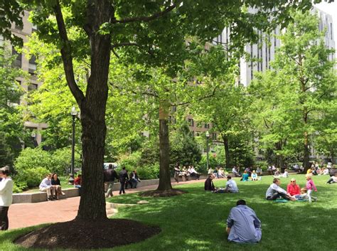 Tree Risk Assessment Qualification Medium