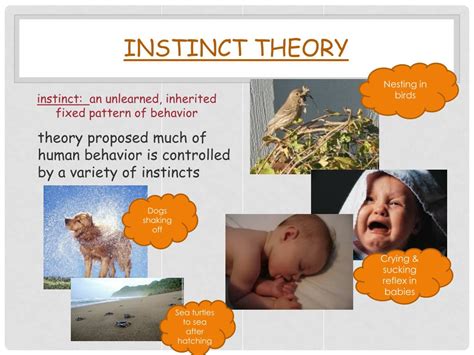 Ppt Motivation Powerpoint Presentation Free Download Id2470566