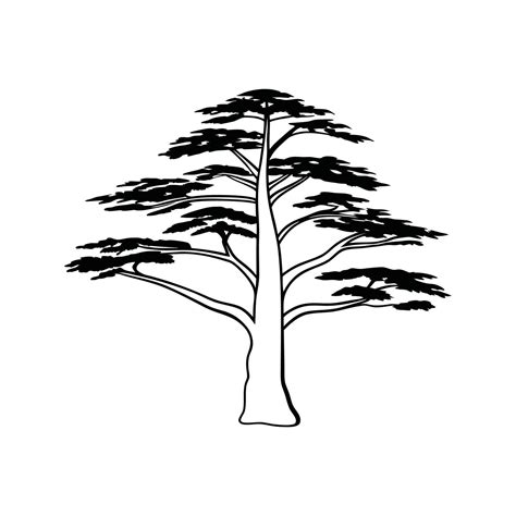 Stylish Himalayan Cedar Tree Illustration 57956494 Vector Art At Vecteezy