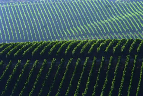 Patrick Mcgrath Mw Hatch Mansfield