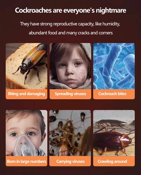 【10 Years Without Cockroaches】thailand Cockroach Killer 120g Cockroach Repellent Magic Box Safe