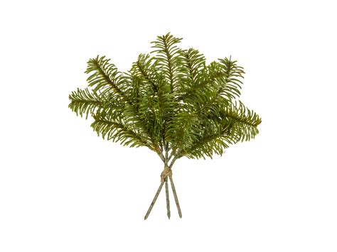 Petit Assemblage De Pin Noël