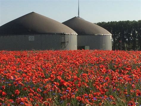 Biométhanisation Architecture Latérale 4