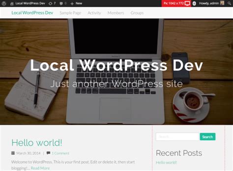 WordPress Tip Display Viewport Resolution With The Frontend Developer Plugin WP Tavern