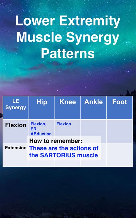 Le Synergy Patterns — James Mcafee Pt Dpt