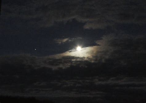 Visually Impared Catsincambridge