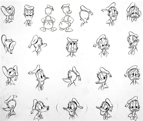 Donald Duck Drawing Reference And Sketches For Artists