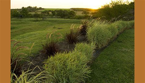 Eye Candy Uruguay 4 Images Behance