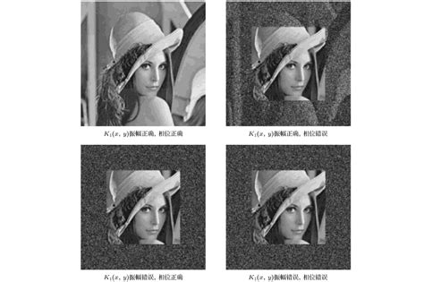 基于双随机相位编码的局部混合光学加密系统