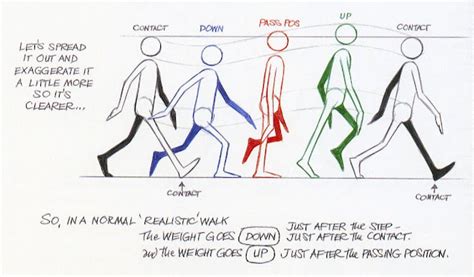 Walk Cycle Animation Tips Animschool Blog