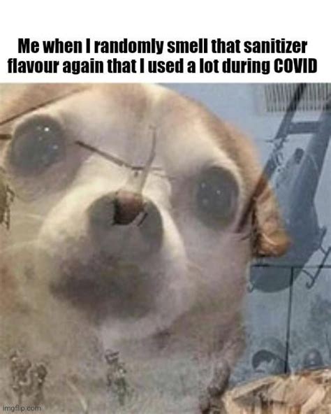 Damn Those Days R Memes