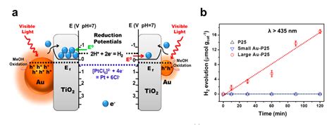 Figure 24 From Surface Plasmon Driven Hot Electron Photochemistry Semantic Scholar