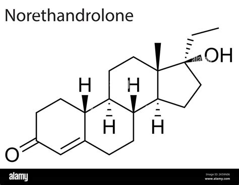 Norethandrolone Skeletal Structure Molecule Vector Editable File Stock