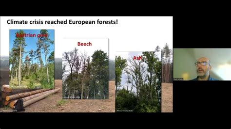 Assisted Translocation Of Tree Populations In Support Of Eus Carbon