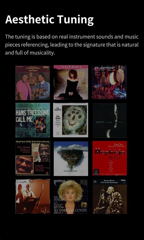 Aune S9c Pro Reference Dac Headphone Amplifier A1futureshop