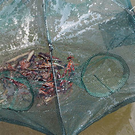 Foldable 6 Holes Fishing Net Fish Shrimp Minnow Crab Baits Cast Mesh Trap Cage EBay