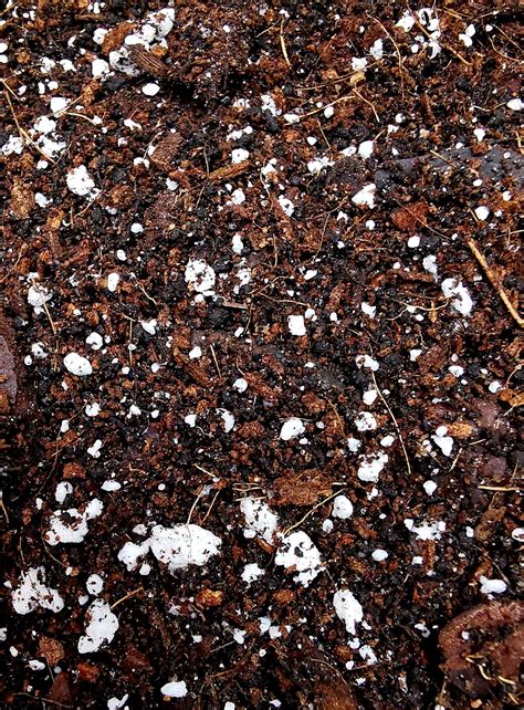 ABG Soil Mix - Teal Tropics