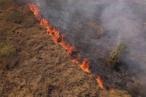 Datafolha 97 Dos Brasileiros Percebem Mudanças No Clima 01 07 2024