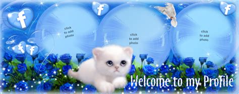 Sinnlichs Profile Cover Frames 2013 January August Welcome Blue