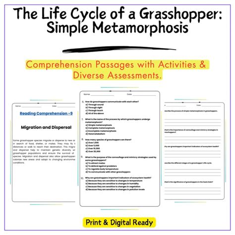 The Life Cycle Of A Grasshopper Simple Metamorphosis Interactive