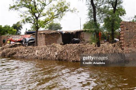 Tando Muhammad Khan District Photos And Premium High Res Pictures