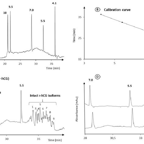 Analysis Of R Hcg And U Hcg By Cief Uv A Cief Analysis Of 5 Pi