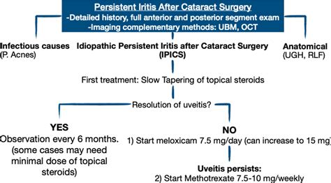 Diagnosis And Management Of Idiopathic Persistent Iritis After Cataract