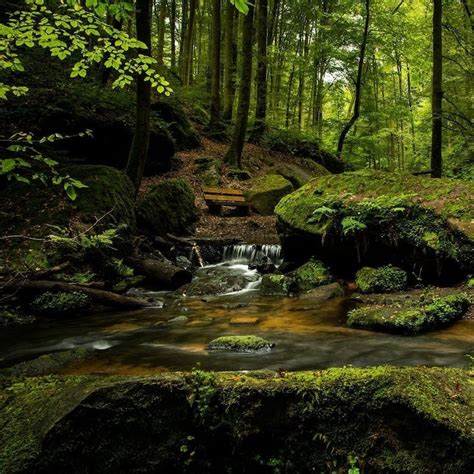 Relaxing Water Stream Picture For Sleep Focus And Meditation White