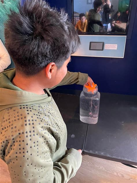 Castroville Elementary Added A Castroville Elementary