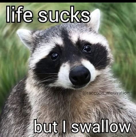 140 Brop The Pop🍾🙌🎊🎉💖 Ideas In 2025 Bones Funny Fierce Mlp Memes