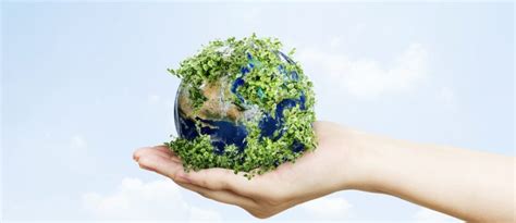 Think Ecosystem Heartfulness Magazine Heartfulness Magazine