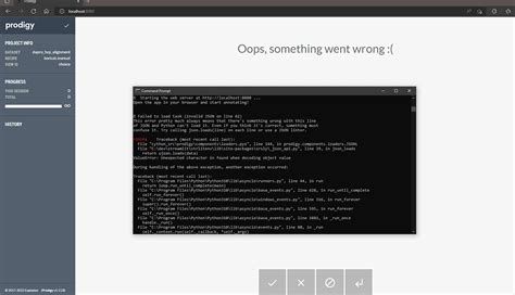Json Linting And Dataset Validation Checks Missing Till You Load A Data Point Bug Report Bug