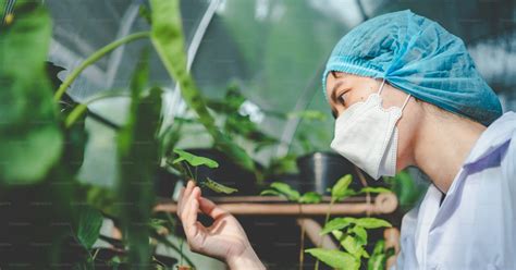 생물학 과학 실험실 유전 기술 과학 생태 연구 식물 성장 샘플 실험 검사 테스트에서 일하는 생명 공학 연구 과학자 사진