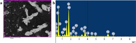 The Topography Of The Cathode Surface Under The Sem A And Edx B Download Scientific Diagram