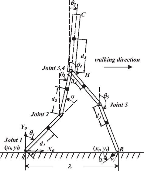 Five Link Biped Model Download Scientific Diagram