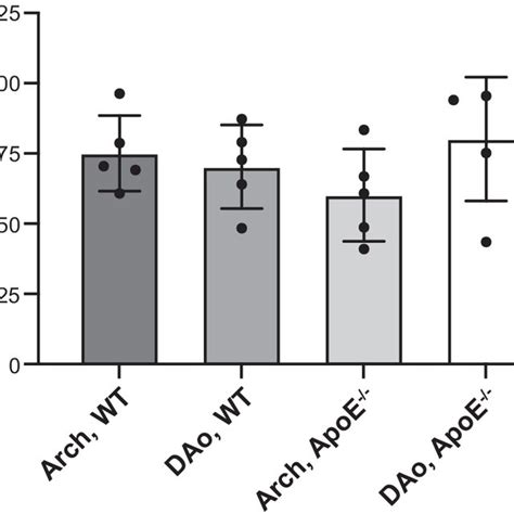 Normalized Cy3 Chp Fluorescence Data For Chp Staining Protocol Download High Resolution