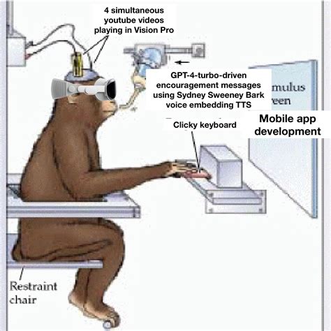 Optimizedworkflow R Programmerhumor